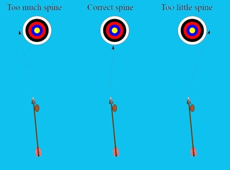 6 Best Arrows For Target Practice: Get Accurate Target Shooting With ...