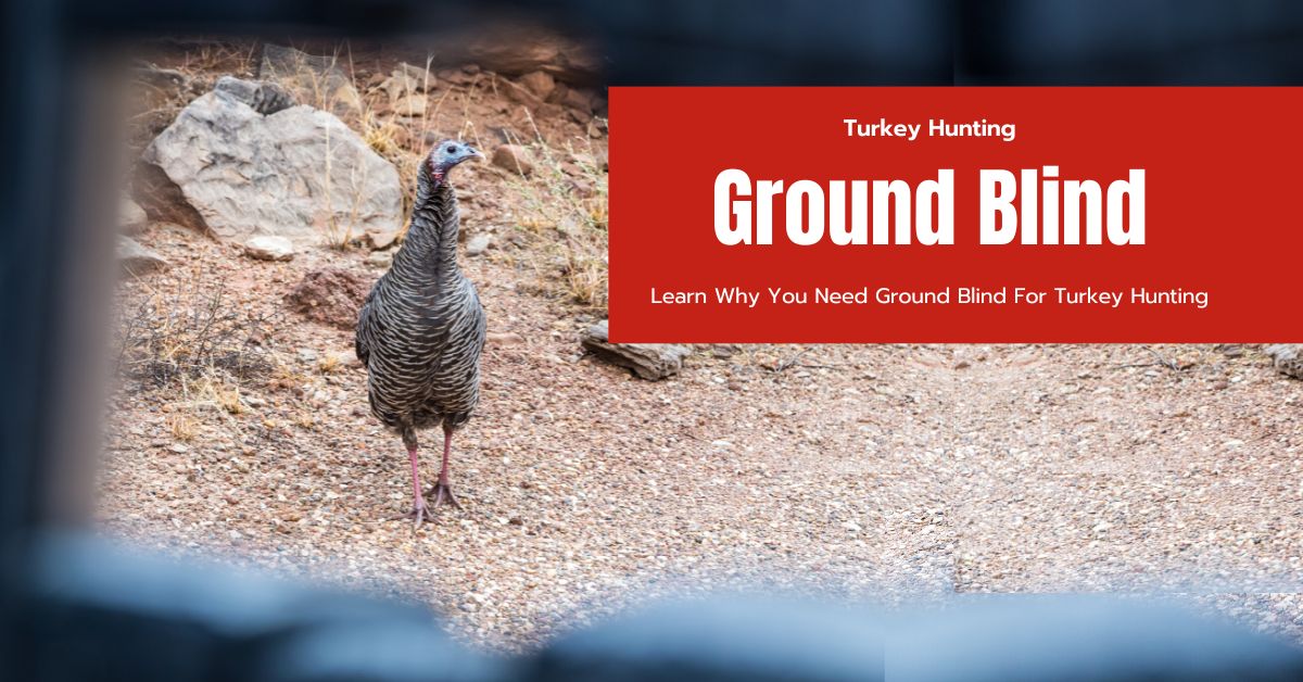 7 Best Ground Blinds For Turkey Hunting: Portable And Budget Friendly