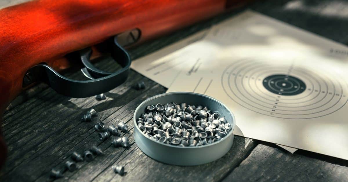 6 Best CO2 Air Rifle For Target Shooting And Pest Control - Tarheel 3 ...