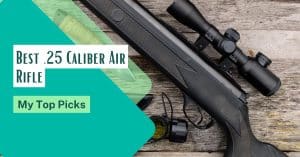 Best .25 Caliber Air Rifle For Hunting And Target Shooting: My Top 6 ...