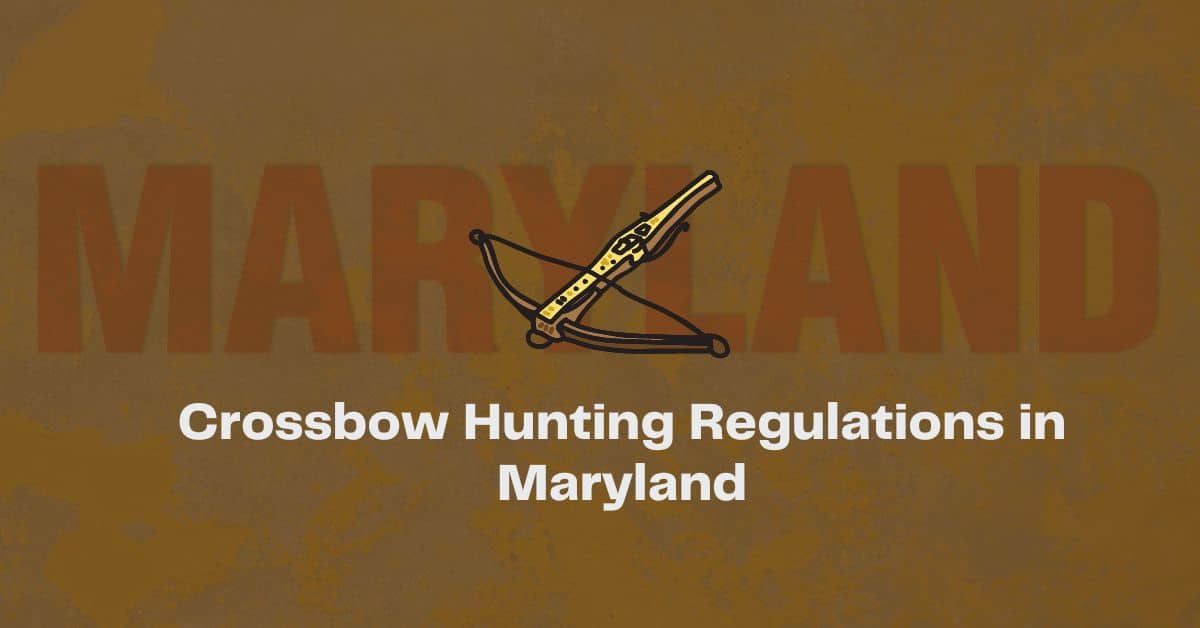 Crossbow Hunting Regulations In Maryland - Tarheel 3 Gun: Hunting, Gear ...