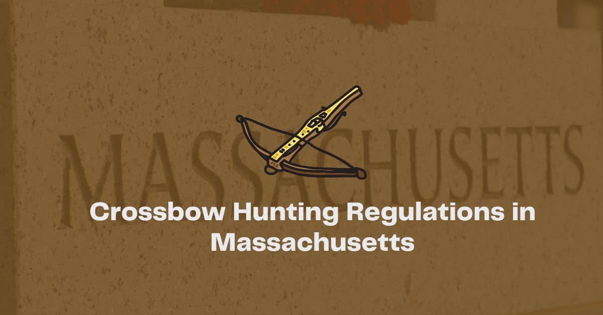 Crossbow Hunting Regulations In Massachusetts - Tarheel 3 Gun: Hunting ...