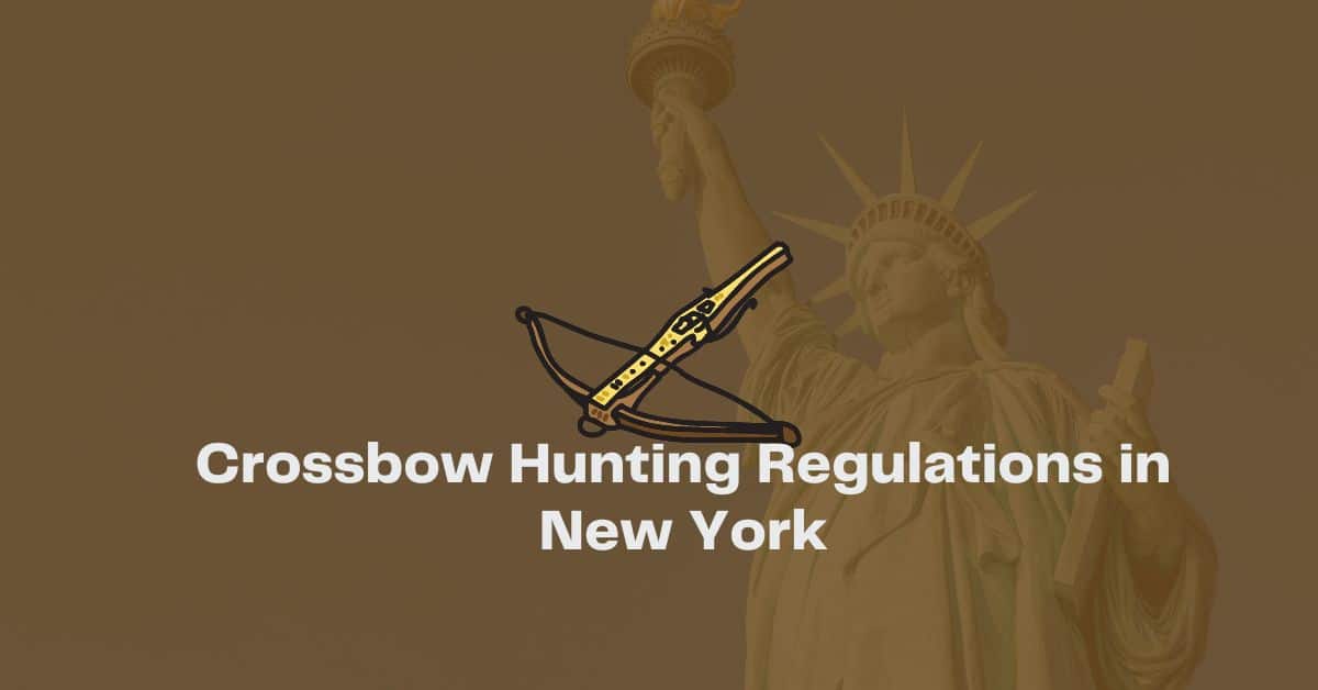 Crossbow Hunting Regulations In New York - Tarheel 3 Gun: Hunting, Gear ...