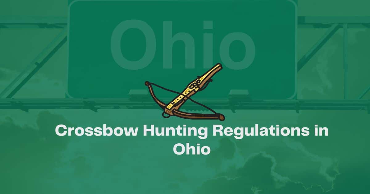 Rules And Regulations For Crossbow Hunting In Ohio: Detailed Overview ...