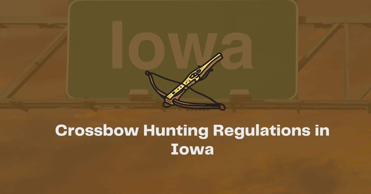 What Are The Iowa Crossbow Hunting Regulations? - Tarheel 3 Gun ...