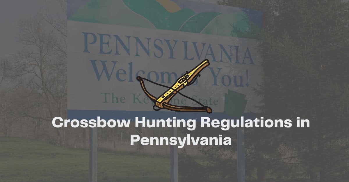 Regulations To Follow Crossbow Hunting In Pennsylvania - Tarheel 3 Gun ...