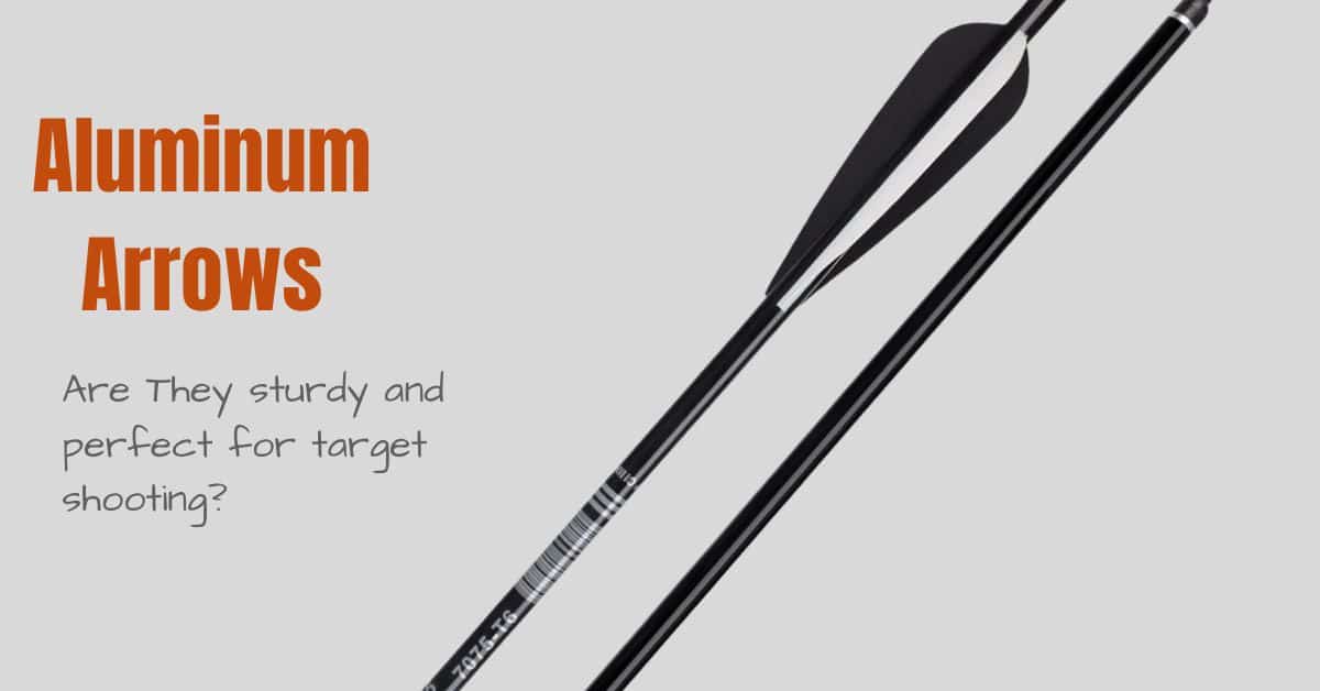 6 Best Arrows For Target Practice: Get Accurate Target Shooting With ...