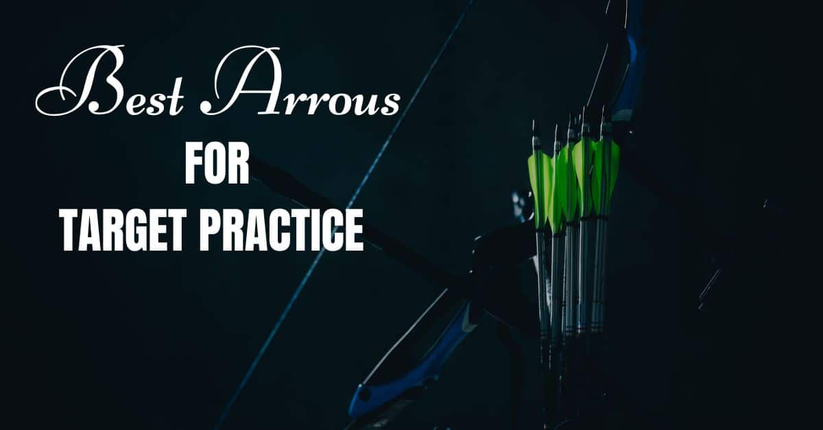 6 Best Arrows For Target Practice: Get Accurate Target Shooting With ...