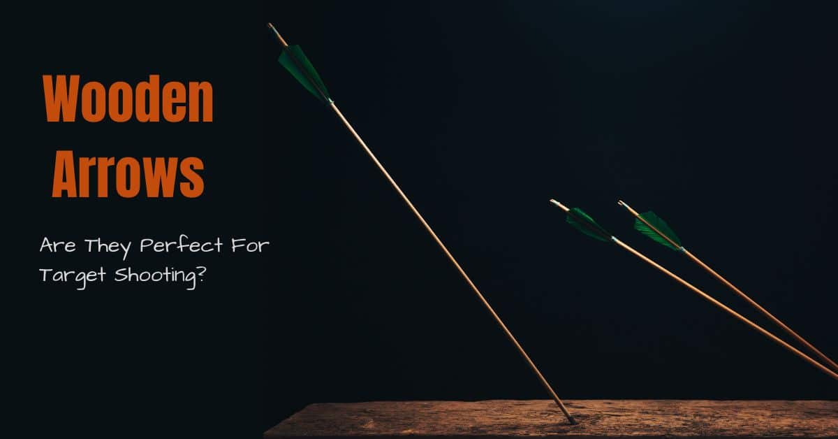 6 Best Arrows For Target Practice: Get Accurate Target Shooting With ...