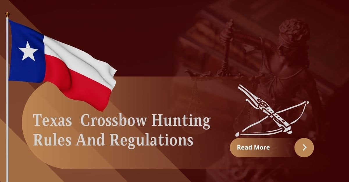 Crossbow Hunting Regulations In Texas: Laws Rules And When To Hunt In ...