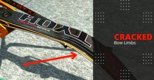 Why Is Dry Firing A Bow Bad And Dangerous? The Science Behind The ...