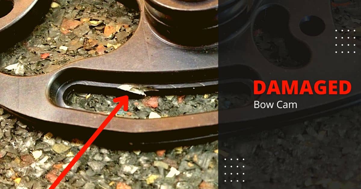 Why Is Dry Firing A Bow Bad And Dangerous? The Science Behind The ...