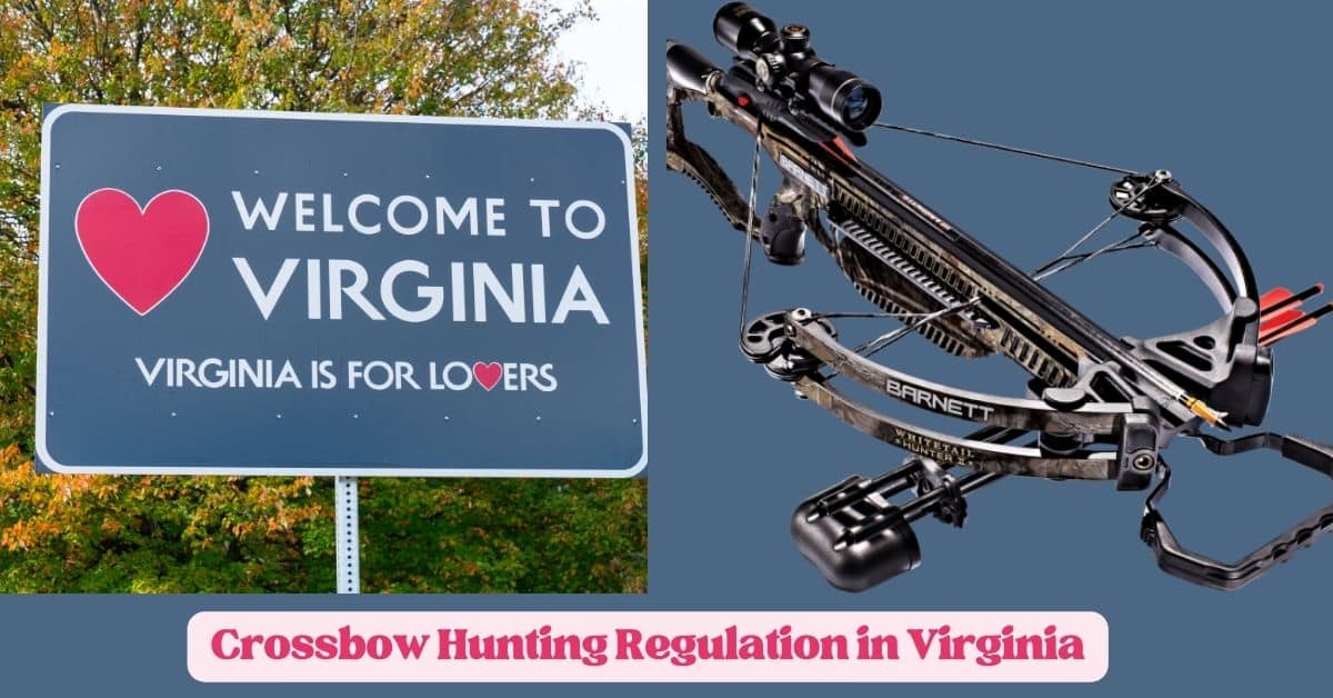 Virginia's Crossbow Hunting Regulations - Tarheel 3 Gun: Hunting, Gear ...