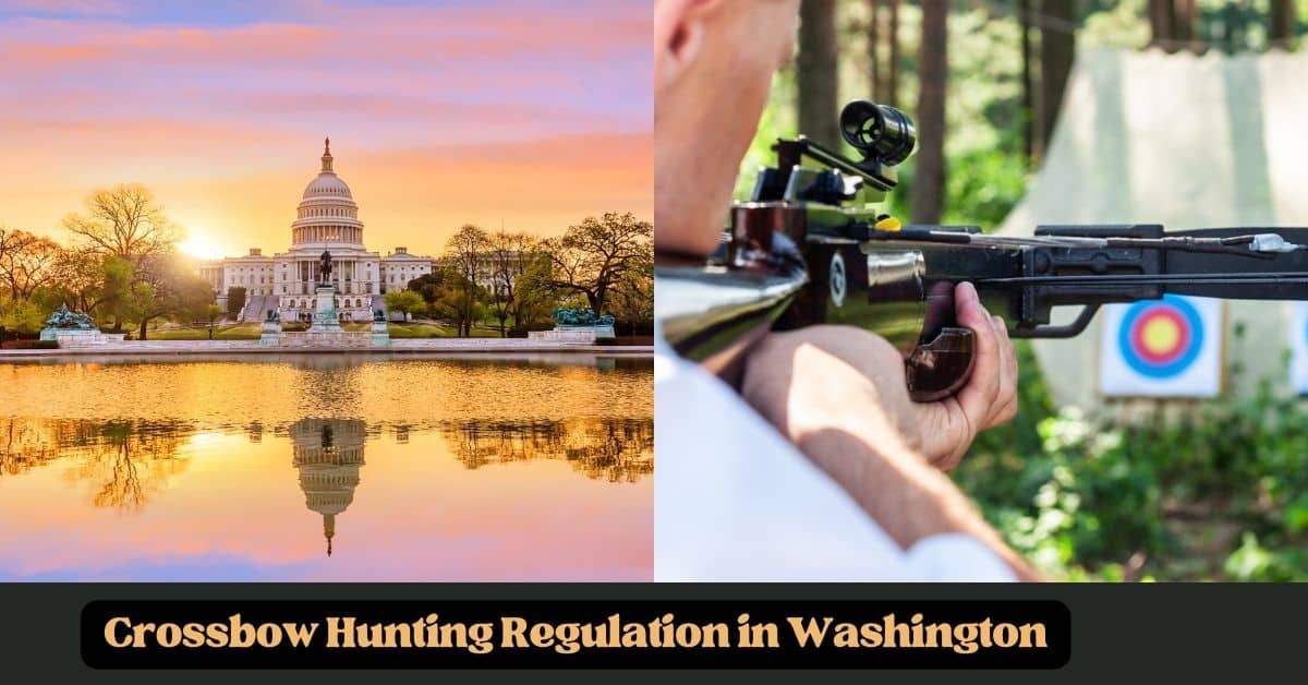 Crossbow Hunting Regulations In Washington: What You Need To Know ...