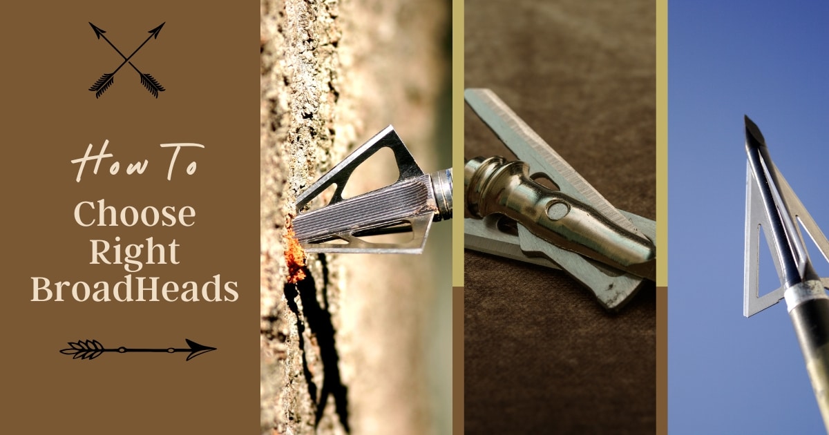 How To Choose The Right Broadhead For Your Bow - Tarheel 3 Gun: Hunting ...